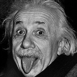 Albert Einstein Mustache